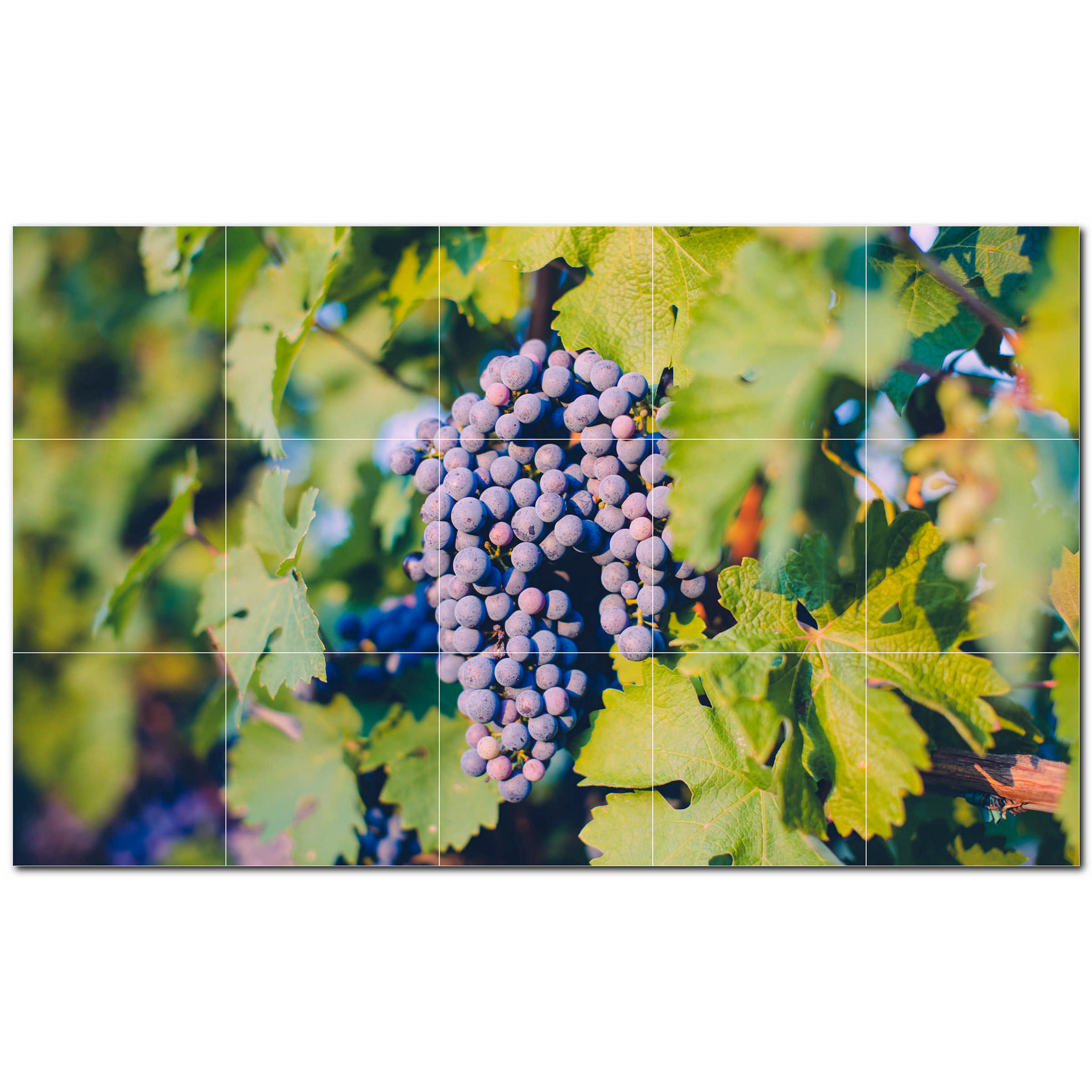 Picture-Tiles.com Wine Photo 12'' x 12'' Satin Ceramic Decorative Mural ...