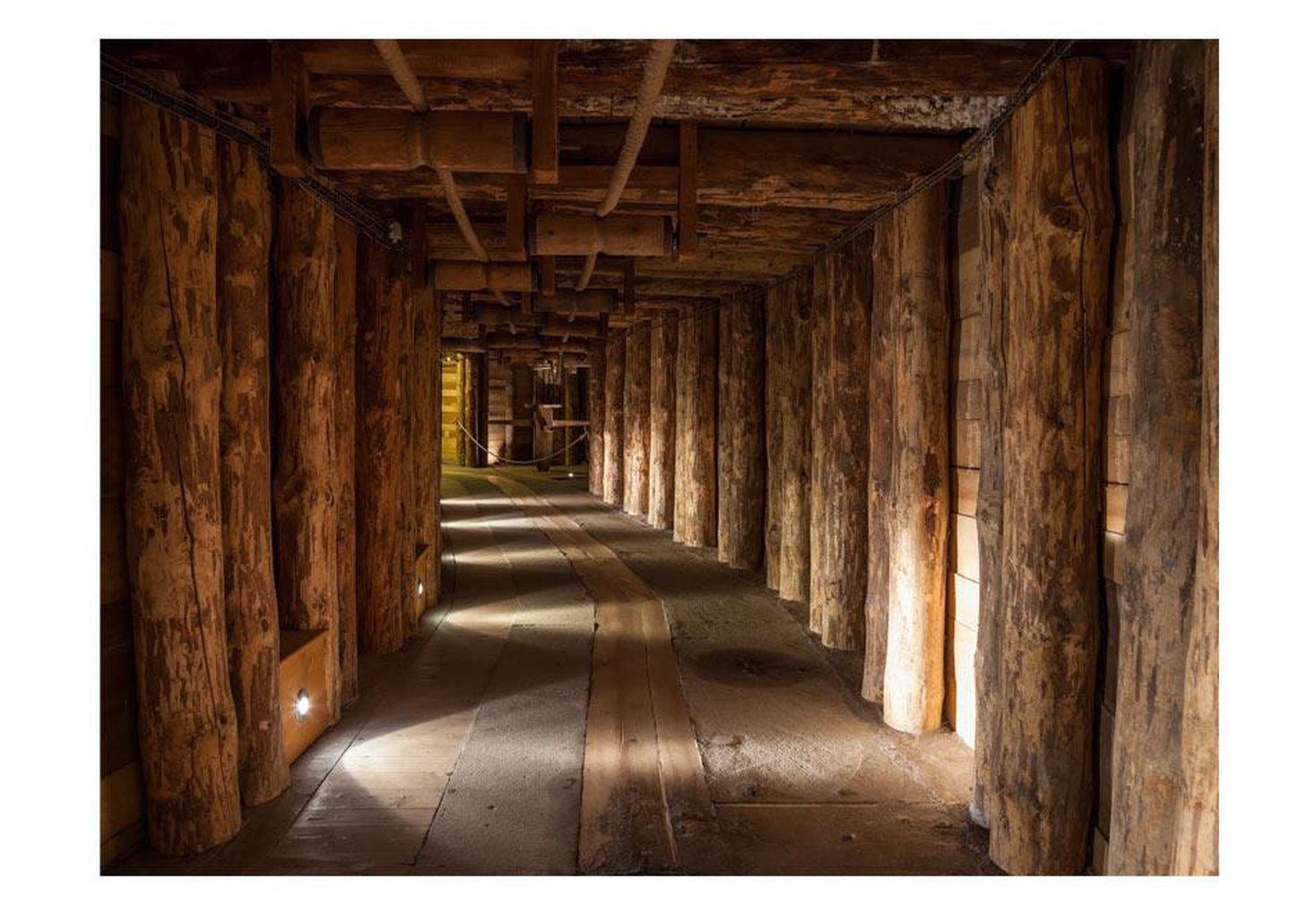 Latitude Run® Bauford Wooden Passage Wall Mural - Wayfair Canada