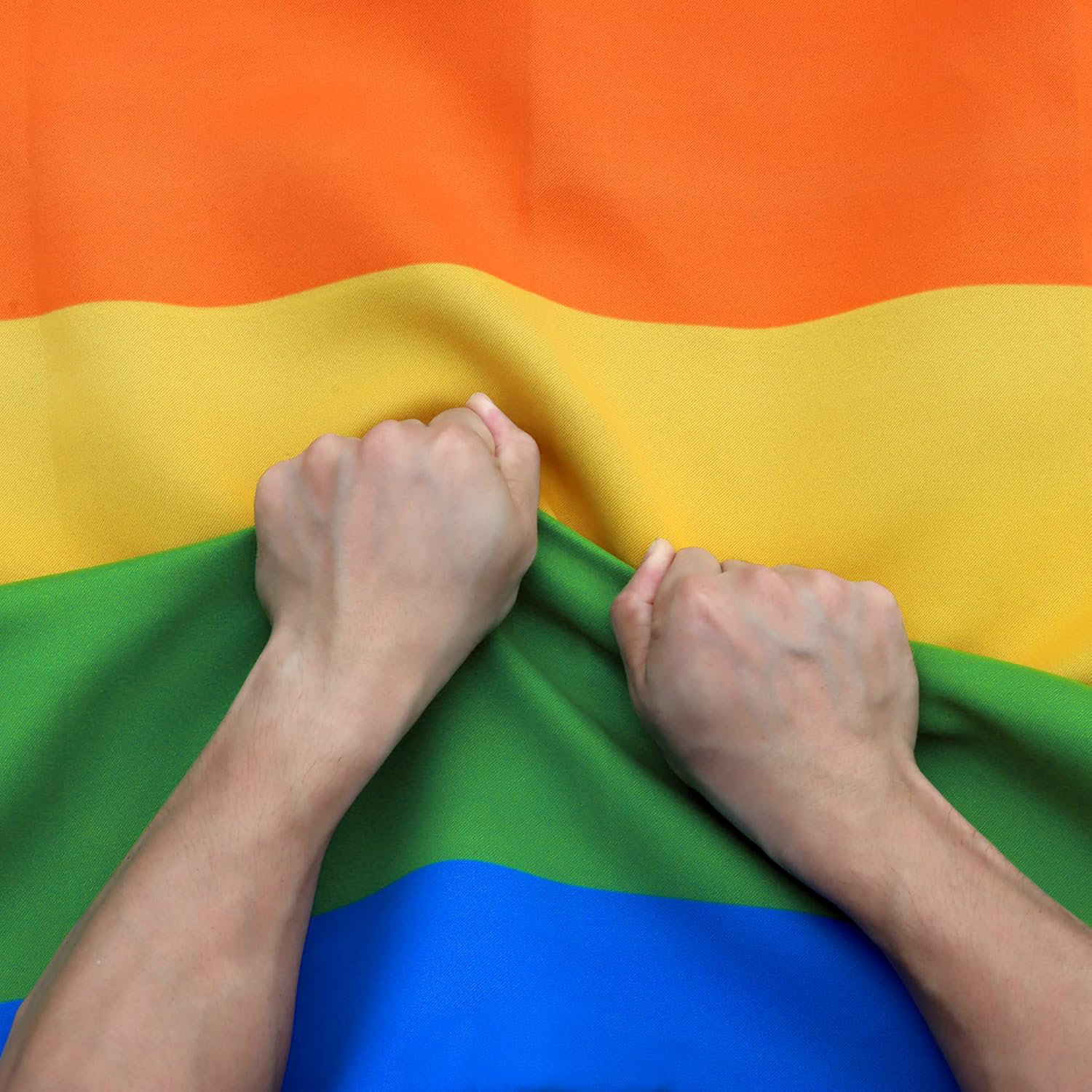 Ebern Designs 36"H X 60"W Double Sided Rainbow Polyester House Flag ...