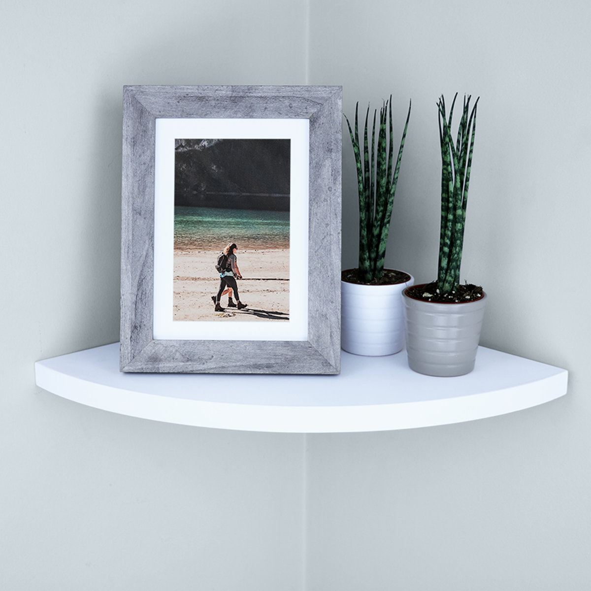 Ballucci Fan Shaped Corner Shelf & Reviews | Wayfair