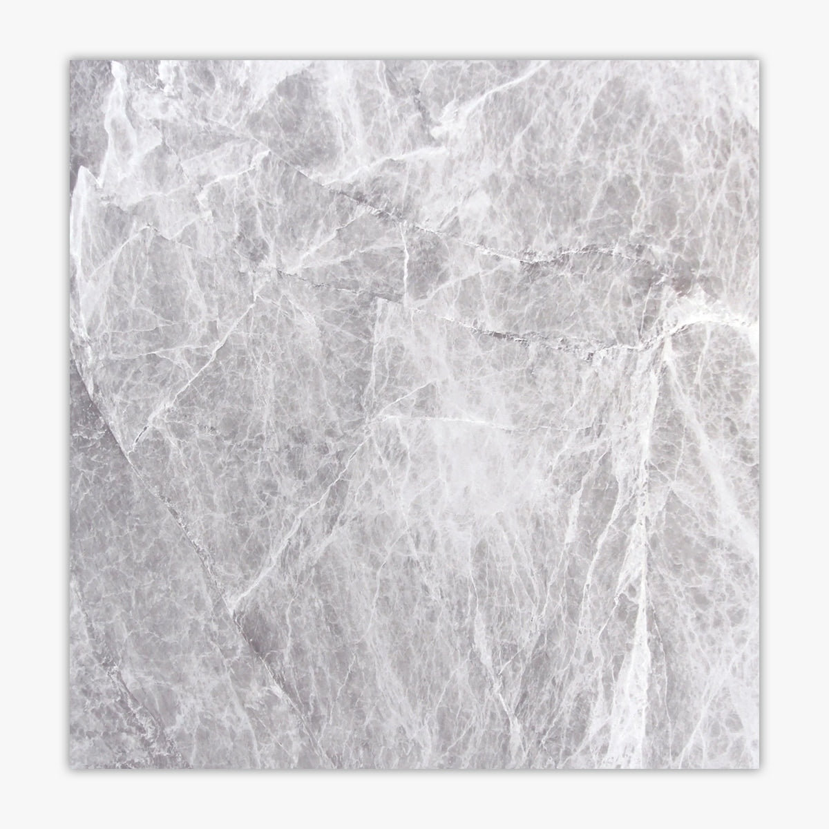 Direct Stone Source Norde Grigio 24" x 24" Marble Look Wall & Floor ...