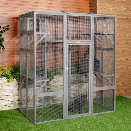 Cages et parcs pour chats: Type de produit - Parc - Wayfair Canada