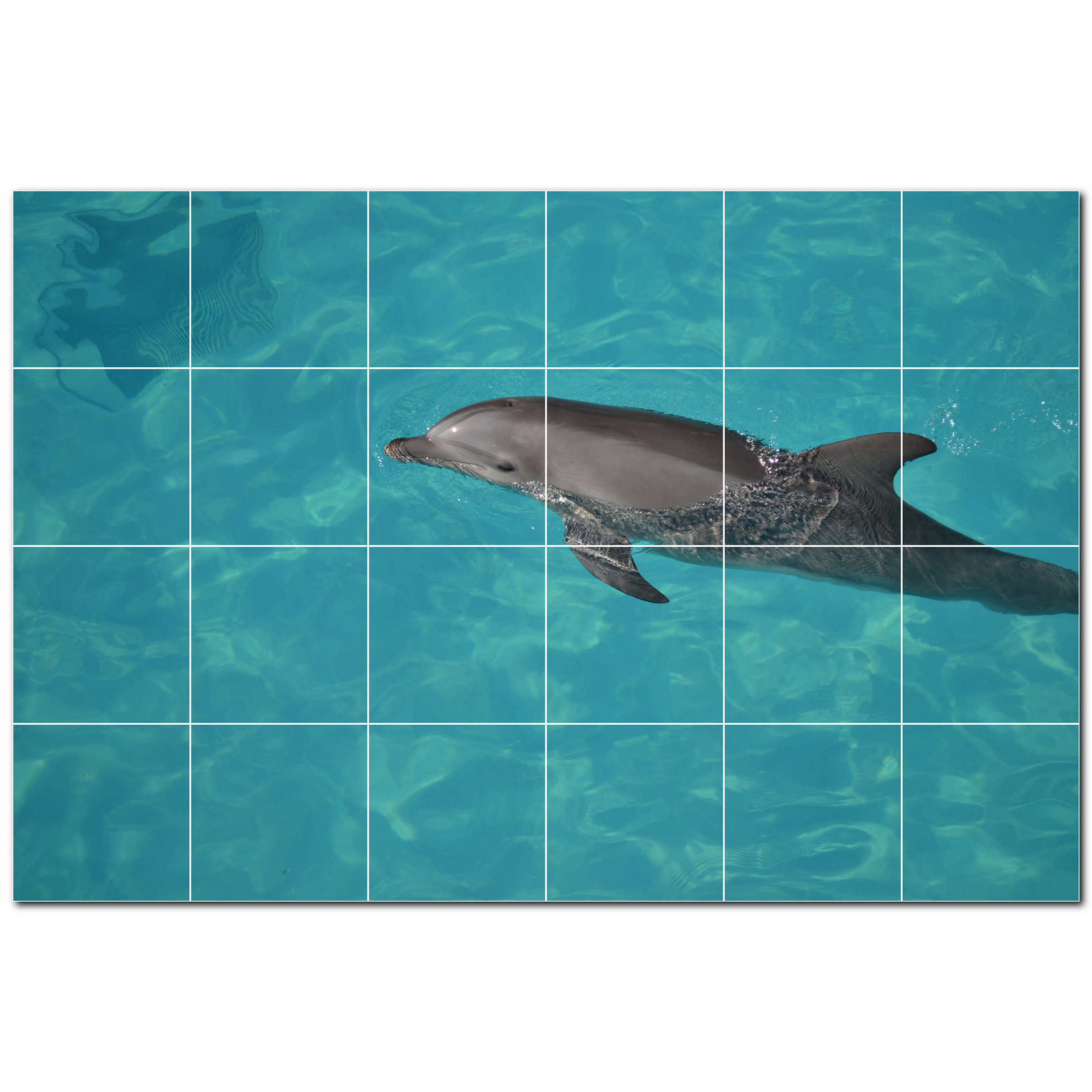 Picture-Tiles.com 72" x 48" Ceramic Dolphin Photo Decorative Mural Tile ...