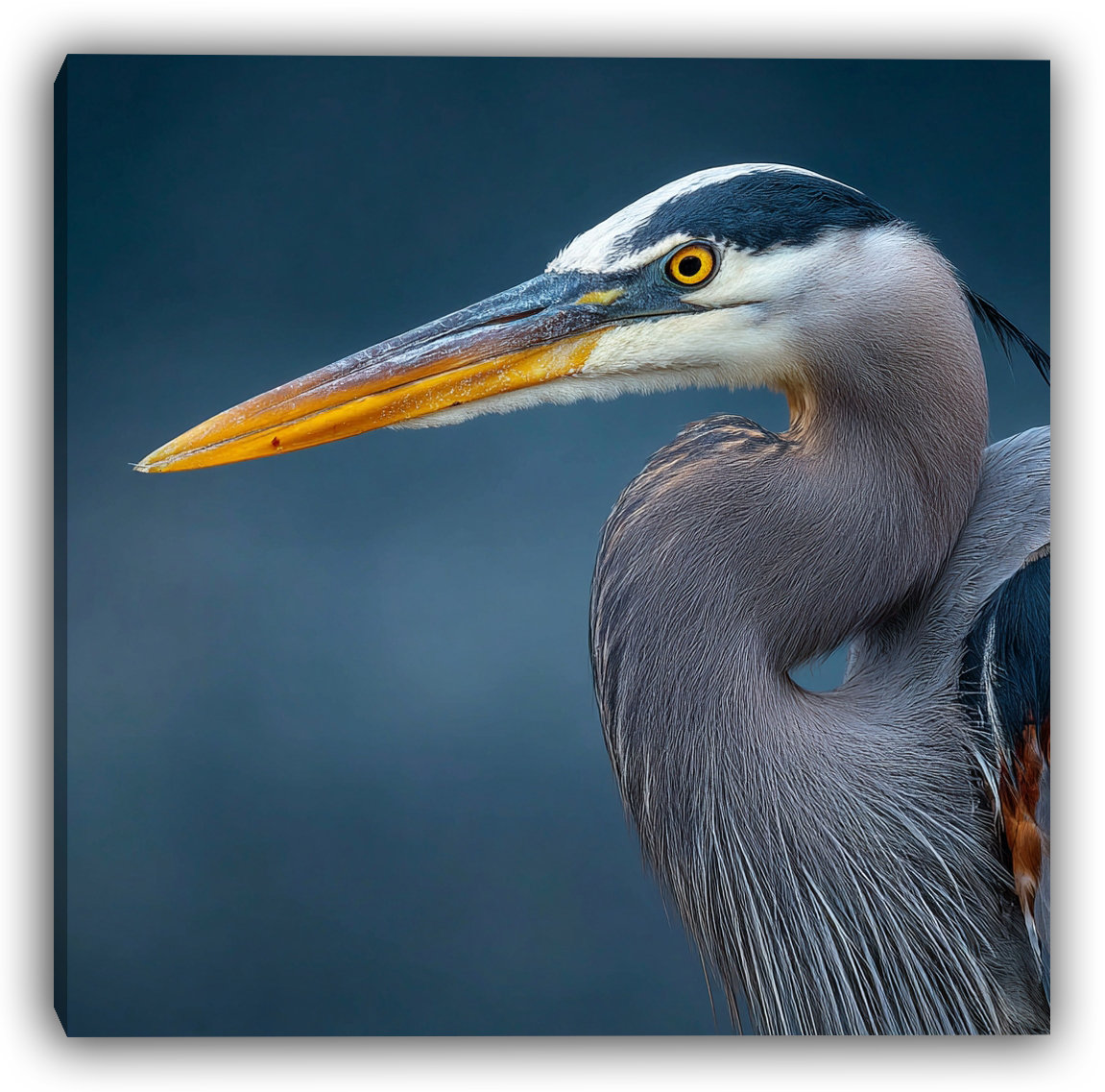 Highland Dunes Azure Flight Heron - Wrapped Canvas Wall Art | Wayfair