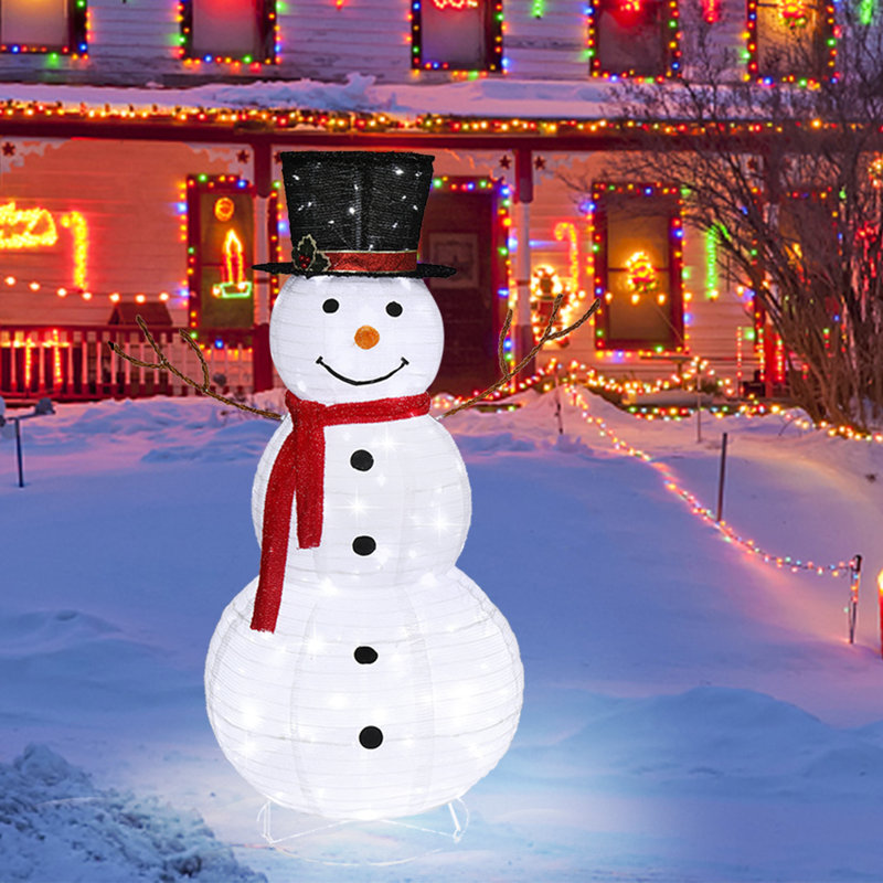 The Holiday Aisle® Snowman Lighted Display & Reviews | Wayfair
