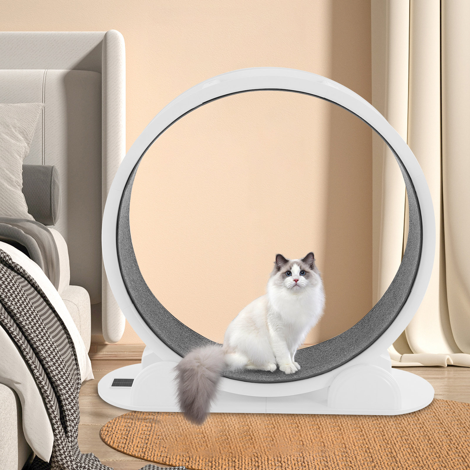 Tucker Murphy Pet™ Roue d'exercice pour chat - Wayfair Canada