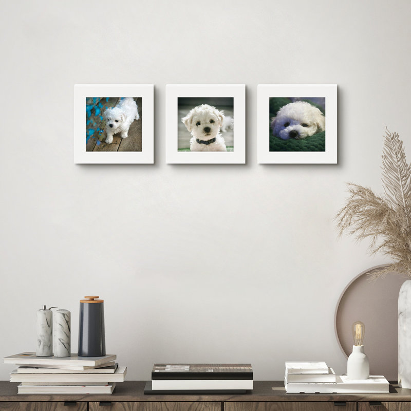 Ebern Designs 4x4 White Wood Gallery Wall Picture Frames | Wayfair