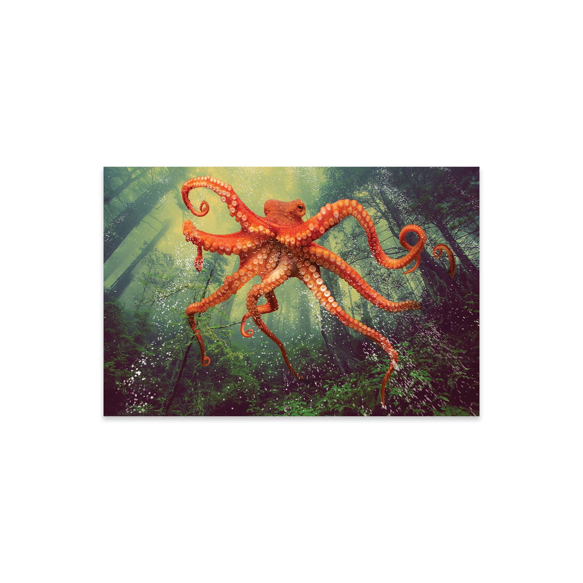 Dovecove Octo Forest Print On Acrylic Glass | Wayfair
