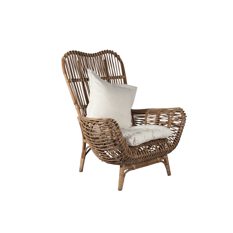Ibolili Round Back Rattan Chair & Reviews | Wayfair