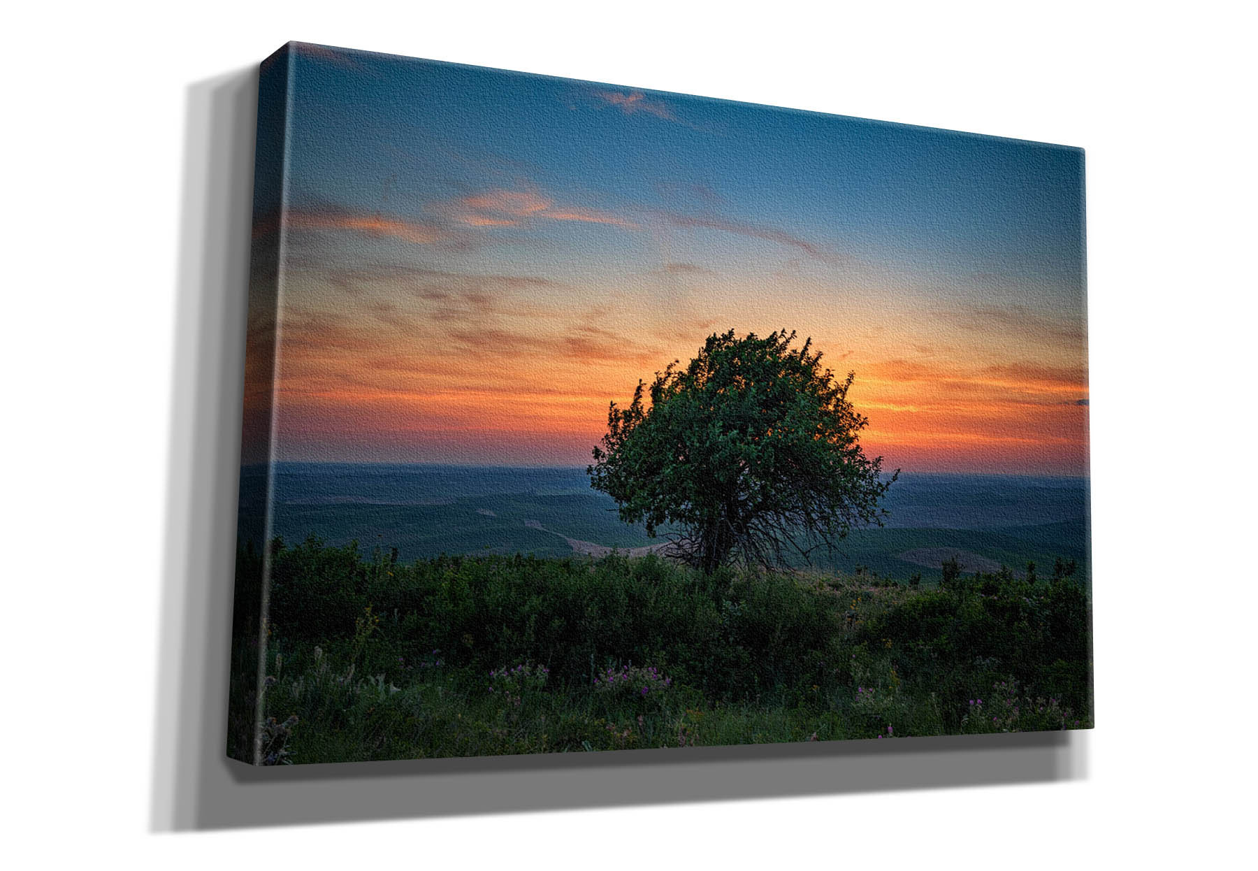 Ebern Designs 'Sunset On Steptoe Butte' by Rick Berk Canvas Wall Art ...