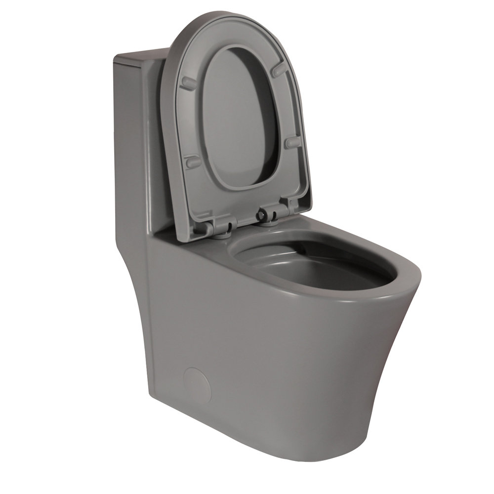 Tusuton Matte Grey Elongated One Piece Toilet Dual Flush 1.1/1.6 GPF ...