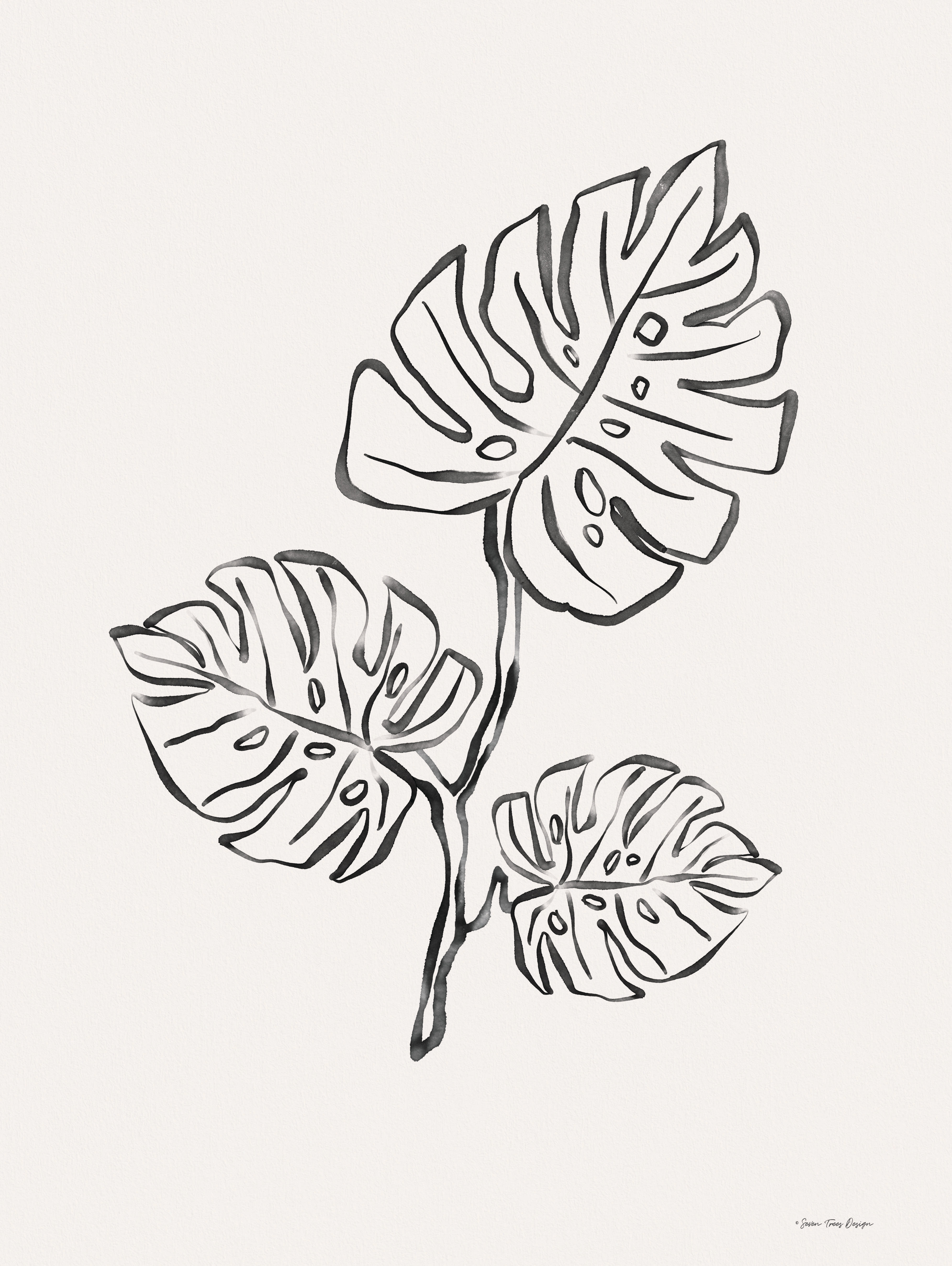 Bay Isle Home™ Monstera Leaf Drawing by Seven Trees Design - Wayfair Canada