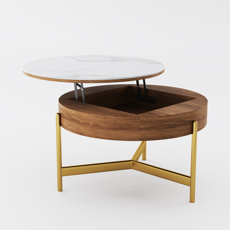 Brayden Studio® Caeleb Modern Round Lift-Top Coffee Table with Storage ...