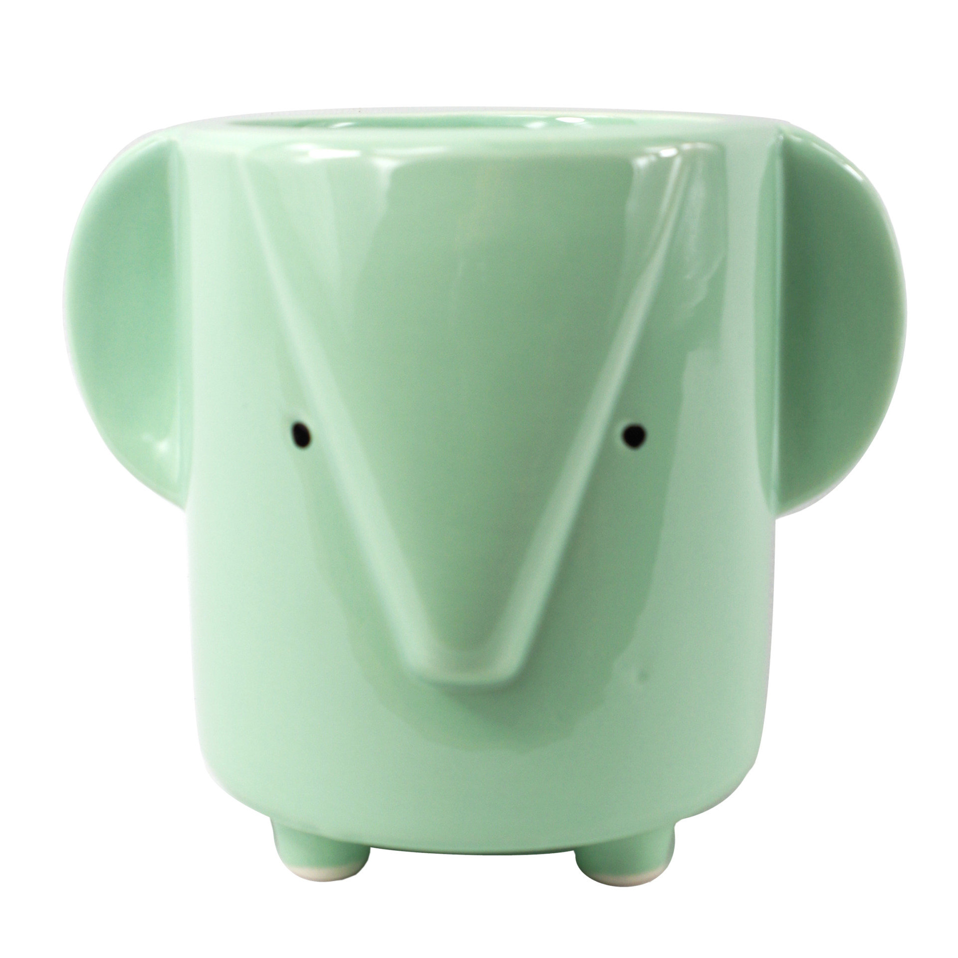 Leaf Corrine Ceramic Cachepot | Wayfair.co.uk