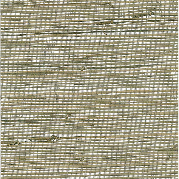 Beachcrest Home Duplantis Triangle Grass 24' L x 36" W 3D Embossed ...