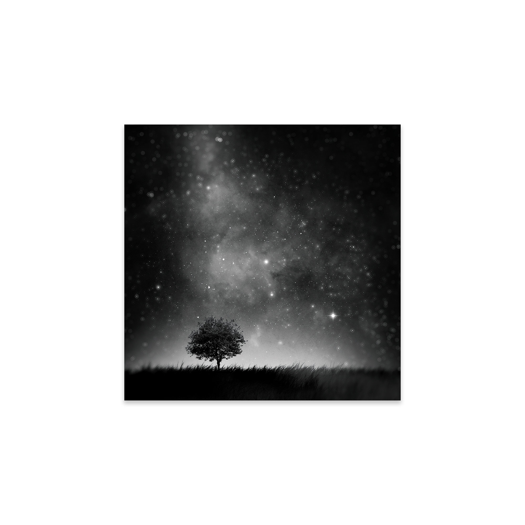 Ebern Designs Not So Alone On Plastic/Acrylic by Sebastien Del Grosso ...