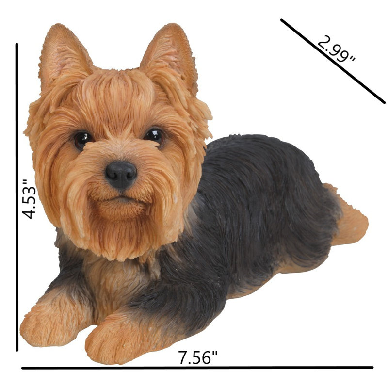 Hi-Line Gift Ltd. Dogs Garden Statue & Reviews | Wayfair