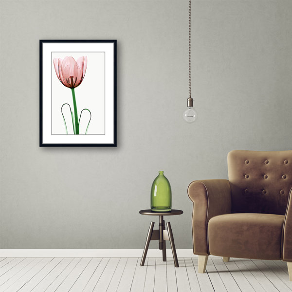 Rust Tulip Picture | Wayfair.co.uk