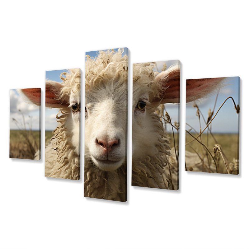 August Grove® Sheep Portrait II - Animals Wall Art Living Room - 5 ...