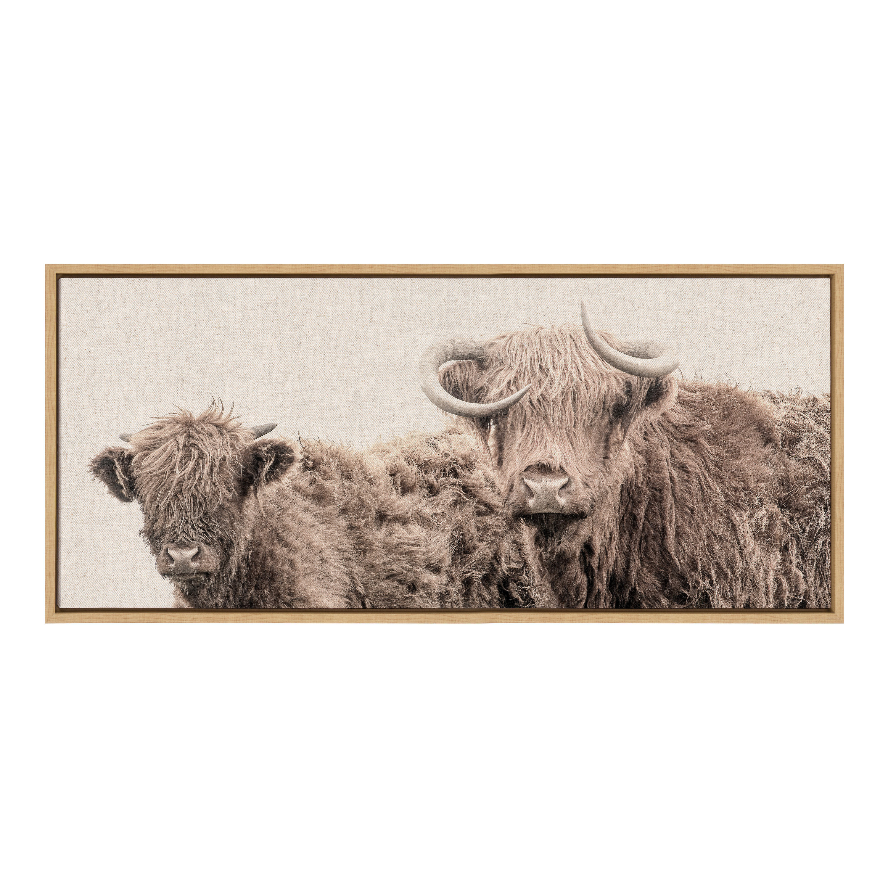 Beachcrest Home Shalyce Two Highland Cow Best Friends Color Neutral ...