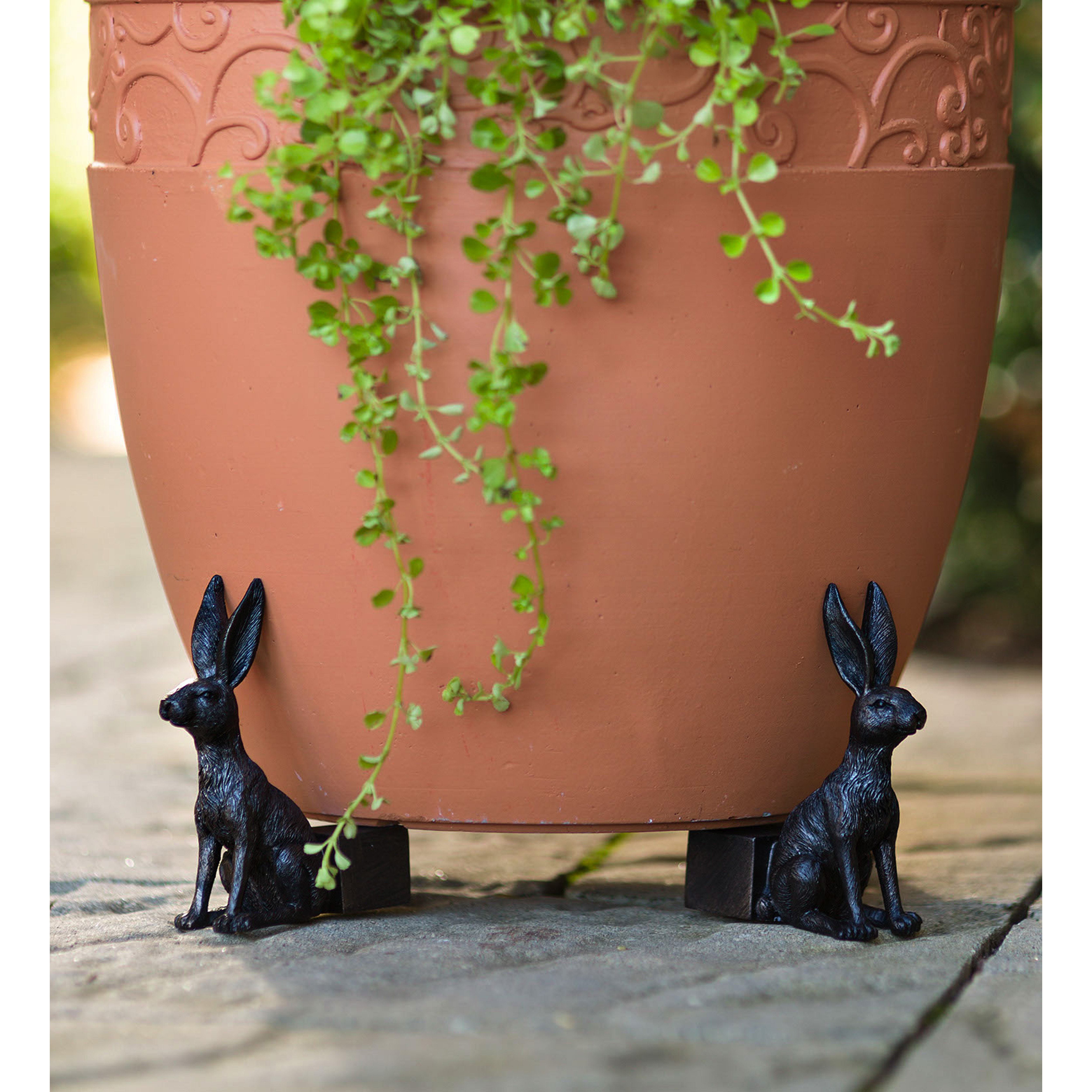 August Grove Rabbits Potty Feet, Set Of 3 - Wayfair Canada