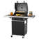 Tepro 2 Burner Gas BBQ Grill | Wayfair.co.uk