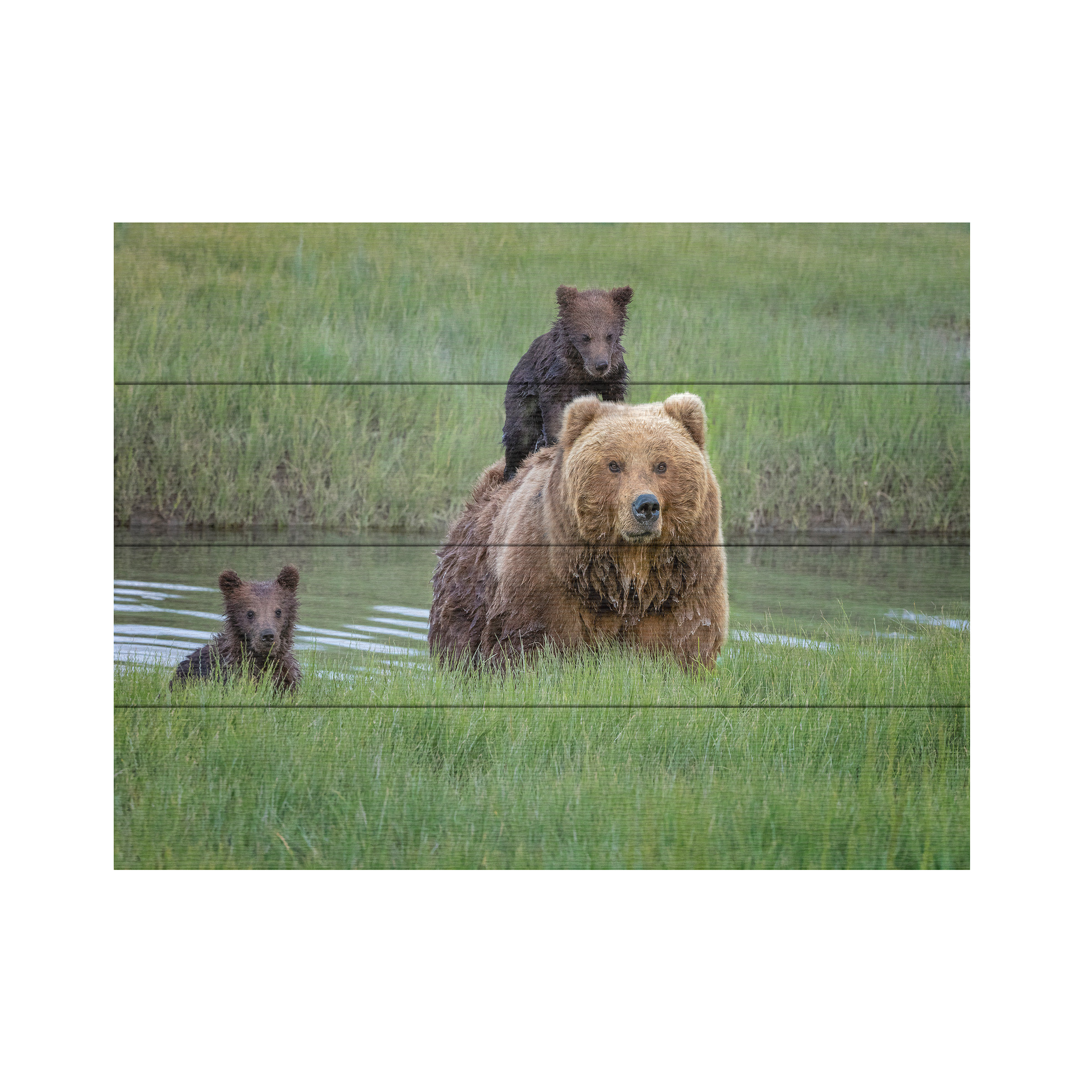Union Rustic Renee Doyle Hanging With Mum Wood Slat Art - Wayfair Canada