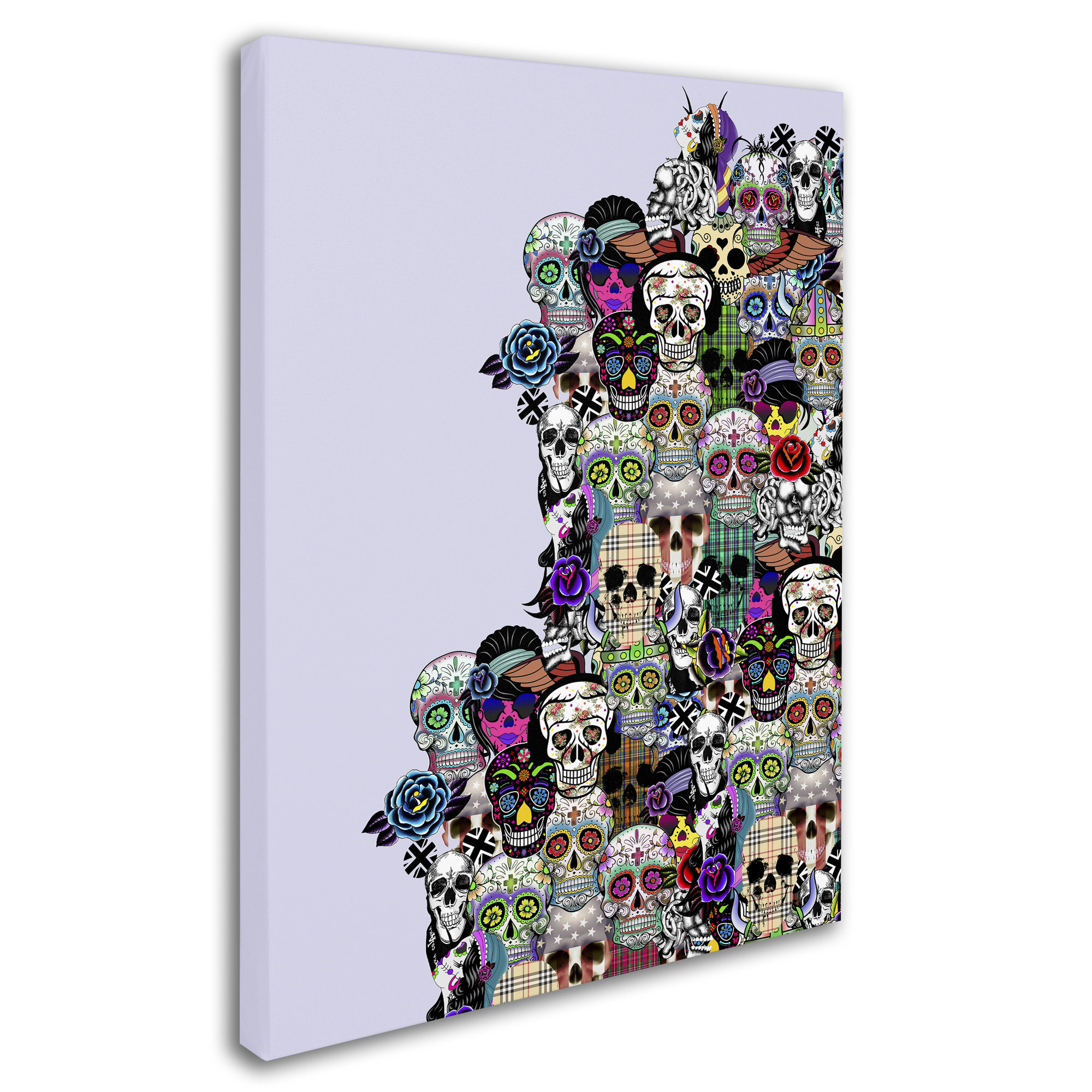 Trademark Fine Art 'Skullssss 2' Graphic Art Print on Wrapped Canvas ...