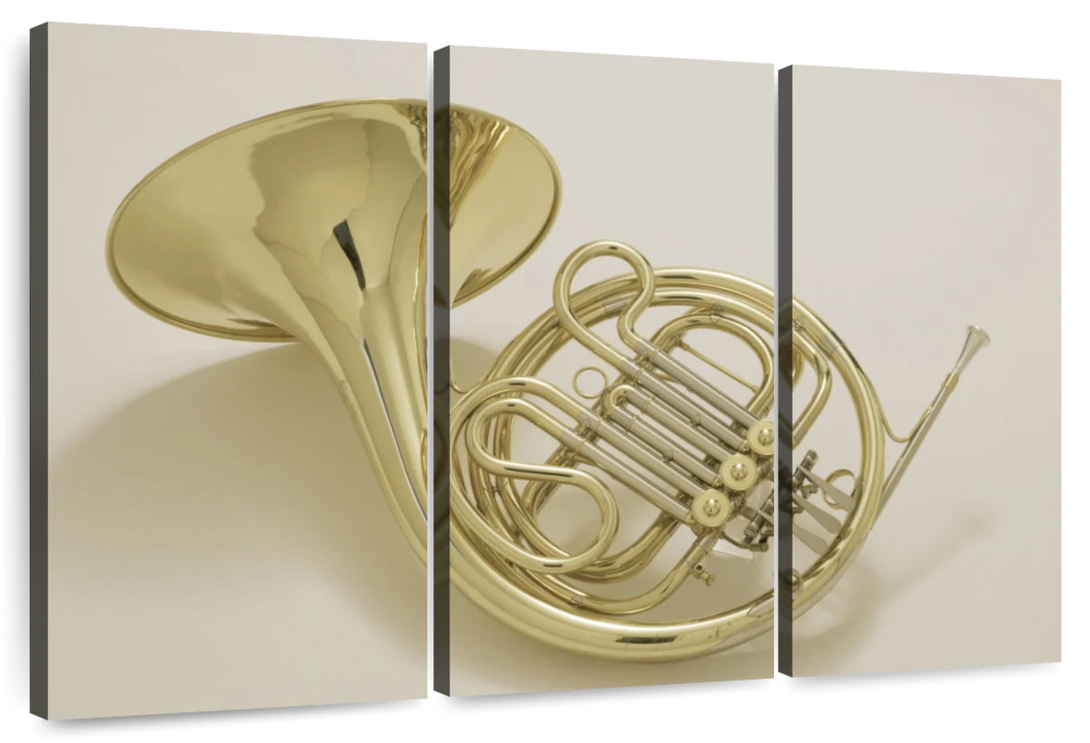 Latitude Run® French Horn Instrument | Wayfair
