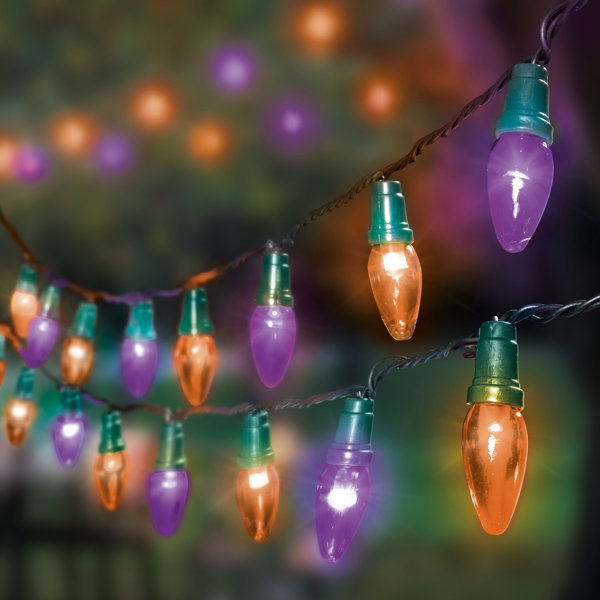 Premier Decorations Ltd Halloween Style Festoon String Lights | Wayfair ...