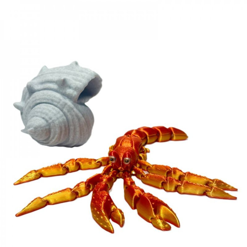 Rosecliff Heights Set Of 2 3D Printed Calcified Shell Hermit Crab ...