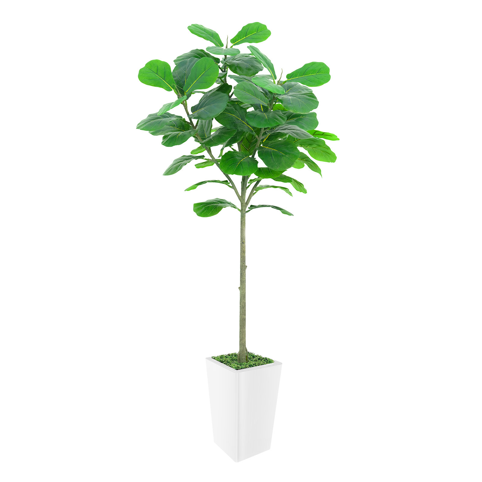 Primrue Artificial Fiddle Leaf Fig Tree 6FT, Faux Fiddle Leaf Fig Tree ...