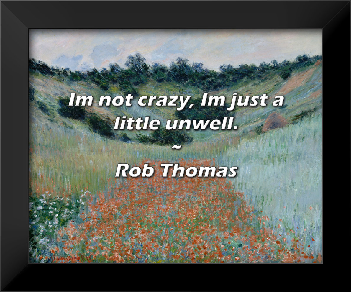 Latitude Run® Rob Thomas Quote: I'm not crazy, I'm just a little unwell ...