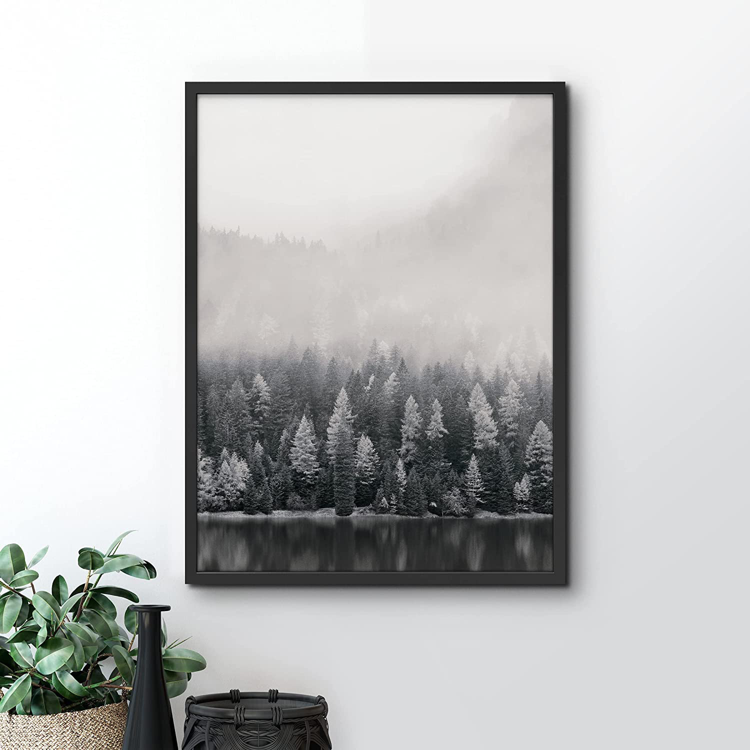 SIGNLEADER Fog Covers Top of Forest Trees Nature Wilderness - Picture ...