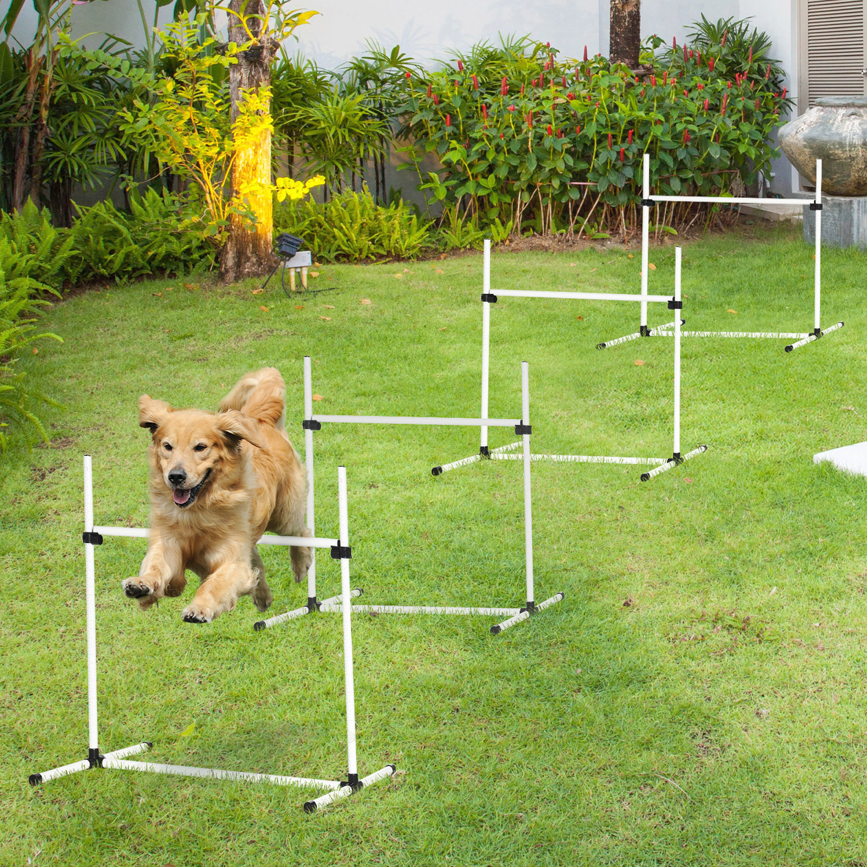 Hokku Designs 4 Dog Agility Outfit With Adjustable Height Jump Bars ...