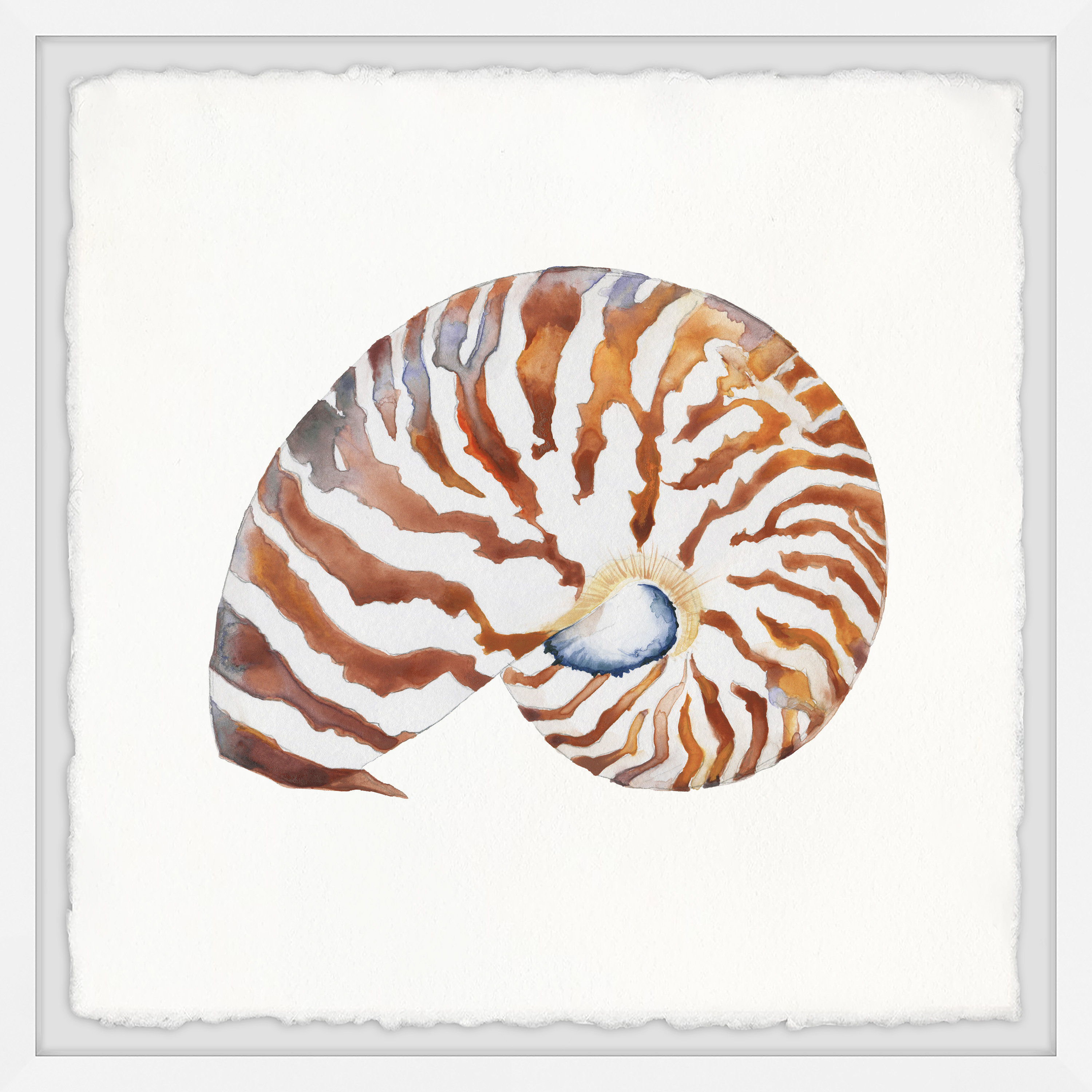 Parvez Taj Starry Shell Diptych A - 18X18 - Wayfair Canada