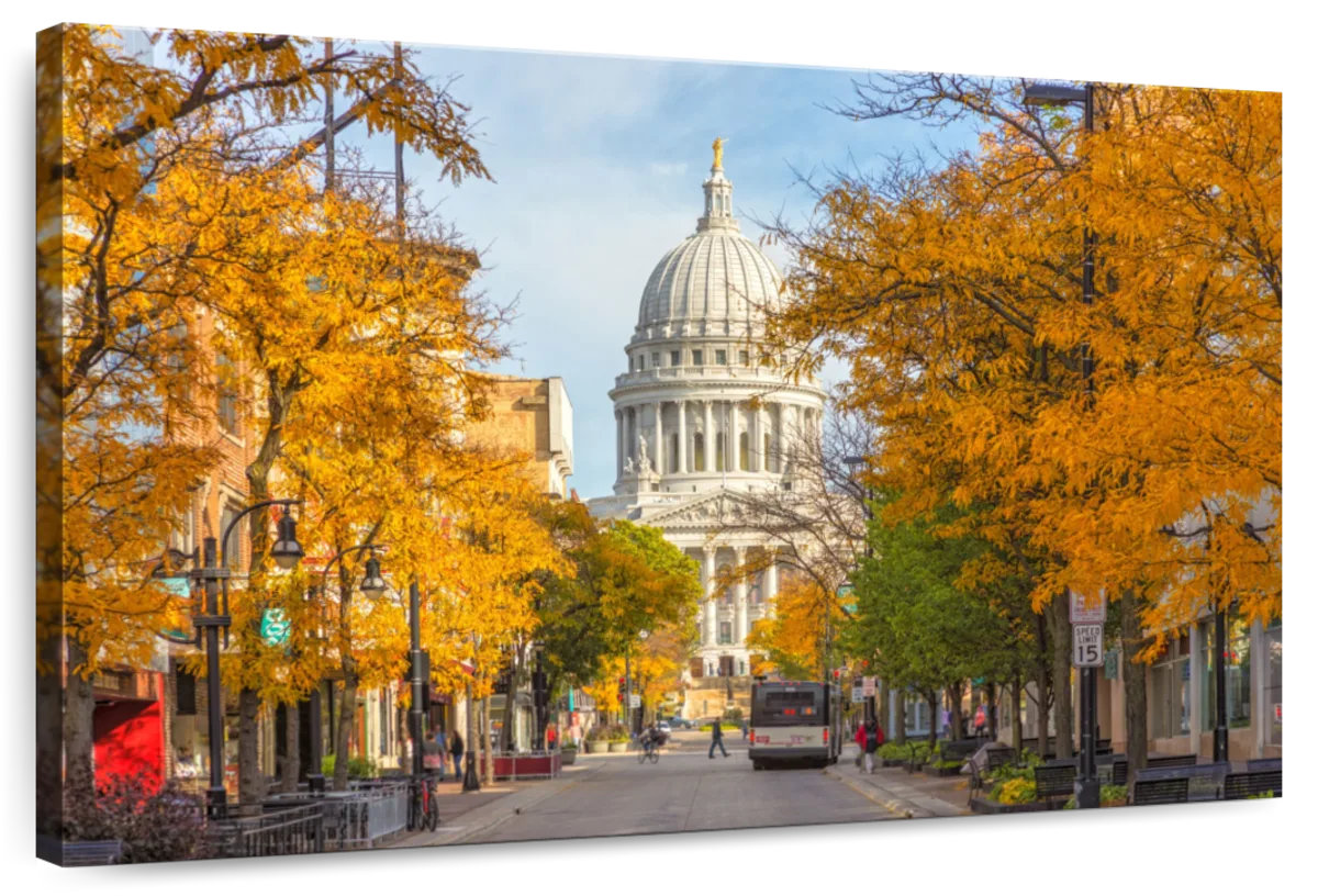 Elephant Stock Wisconsin State Capital In Fall | Wayfair
