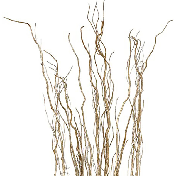 Primrue Curly Willow Stems, Bushes, And Sprays Arrangement | Wayfair