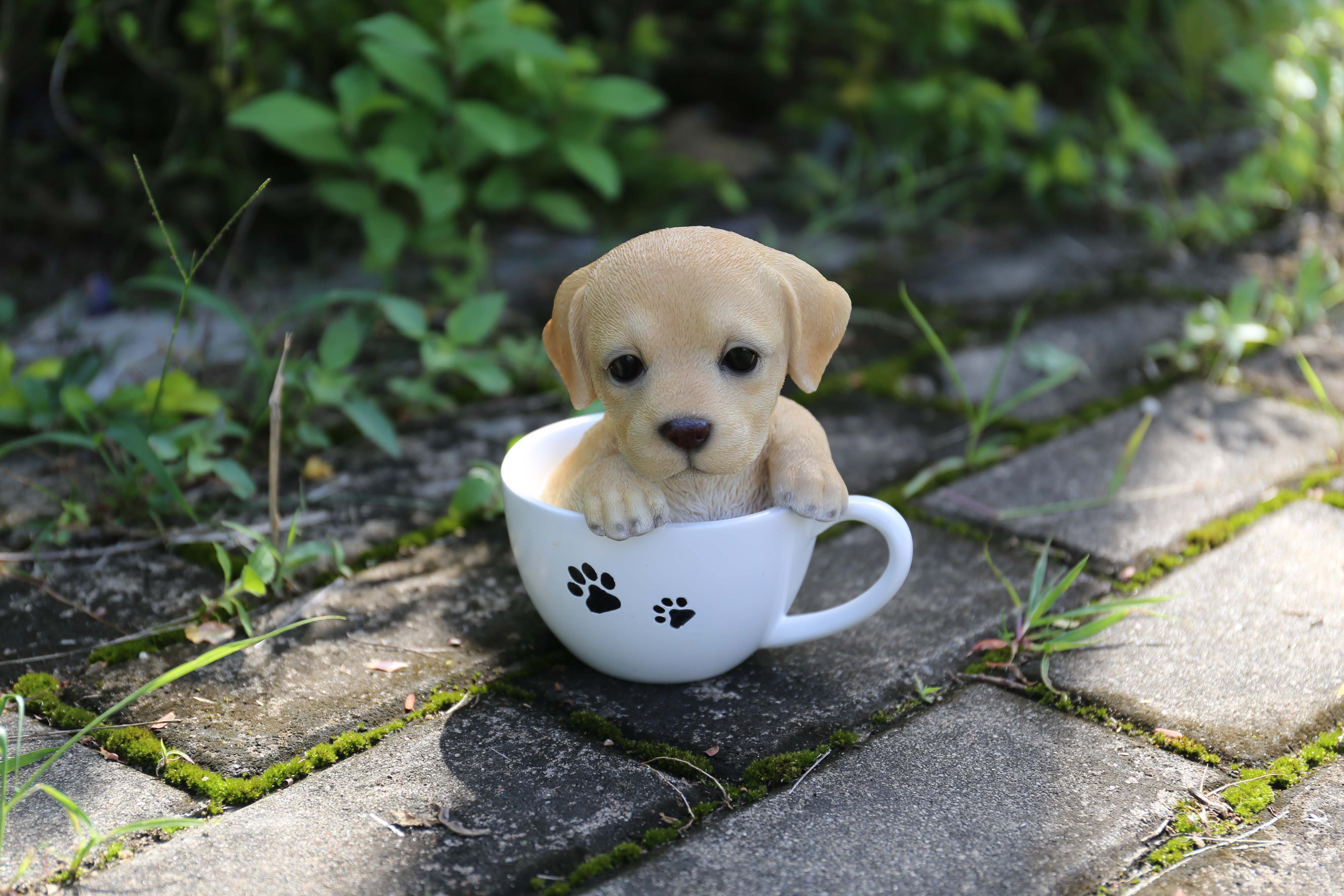 Hi-Line Gift Ltd. Teacup Labrador Puppy Statue & Reviews - Wayfair Canada