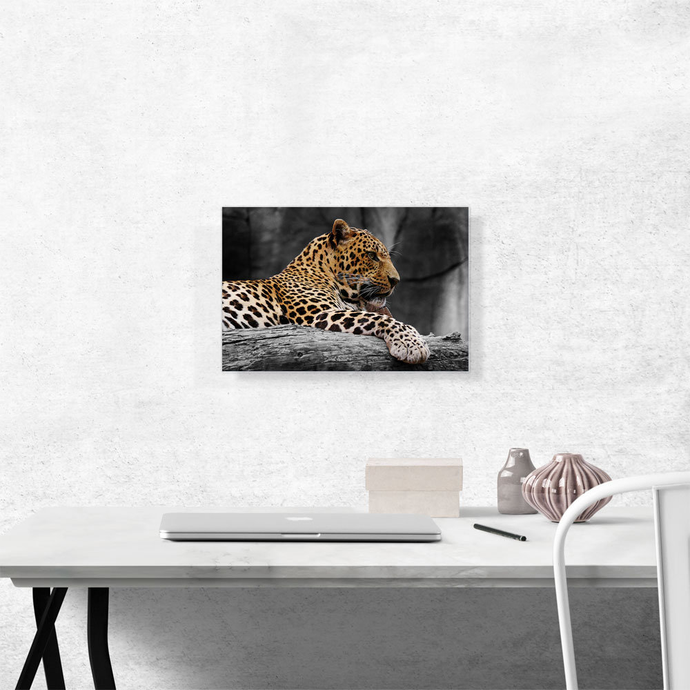 ARTCANVAS Leopard On Log Canvas Art Print - Wayfair Canada