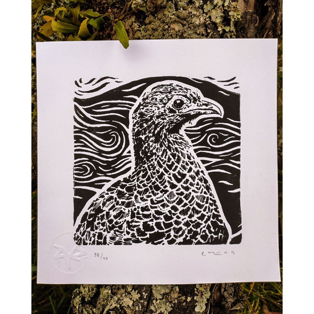 RobertAllenFabric Ricardo Correa (Zokos) " Andean Pava " by Ricardo ...