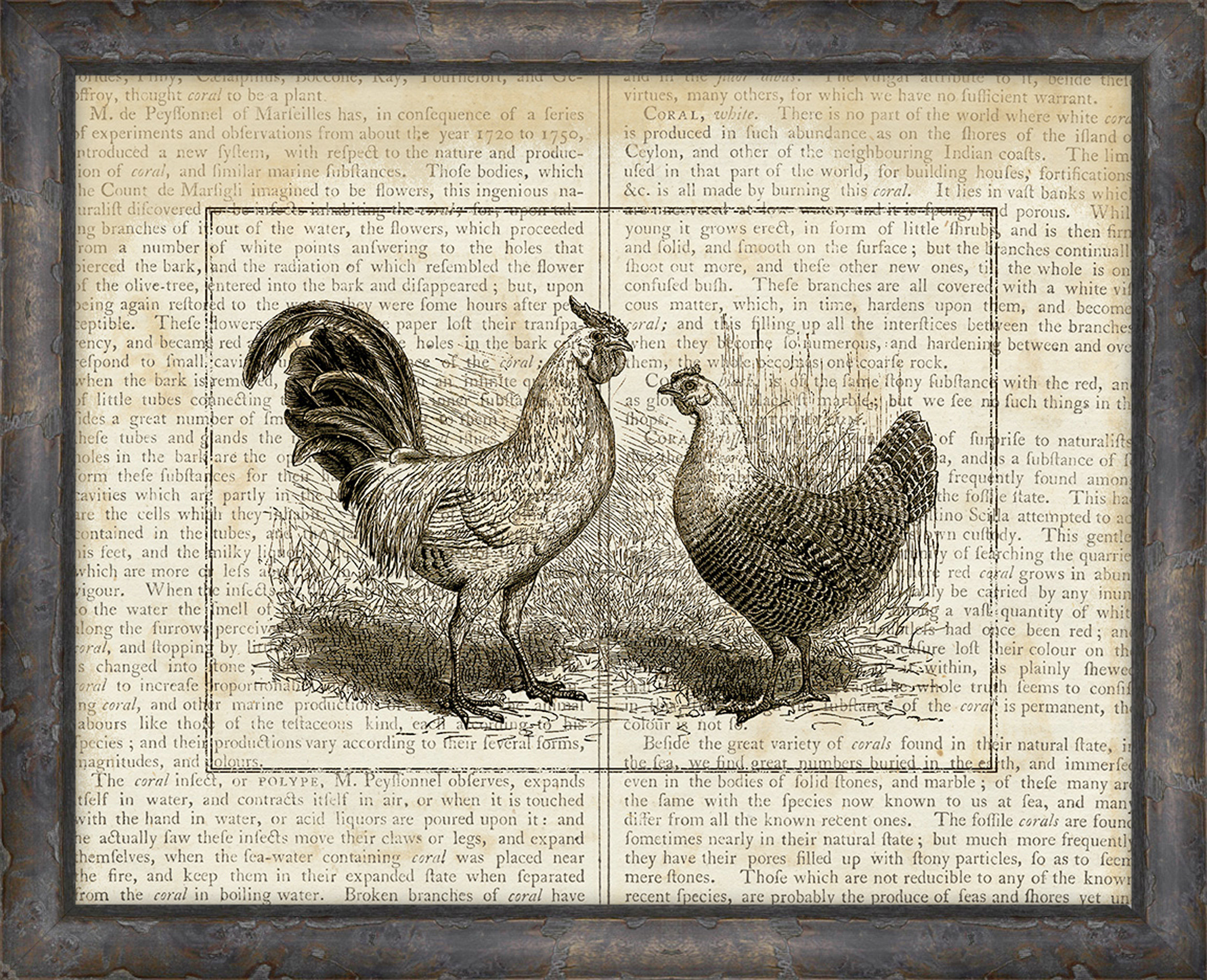 Melissa Van Hise 'Roosters on Writing' Framed Graphic Art Print ...