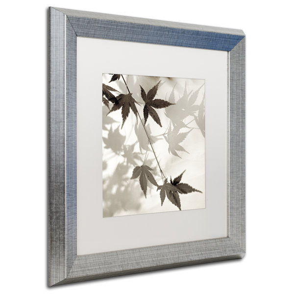Ebern Designs Alan Blaustein Florison LXIII Framed On Canvas by Alan ...