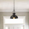 Williston Forge Waynetown 1 - Light Single Dome Pendant & Reviews ...