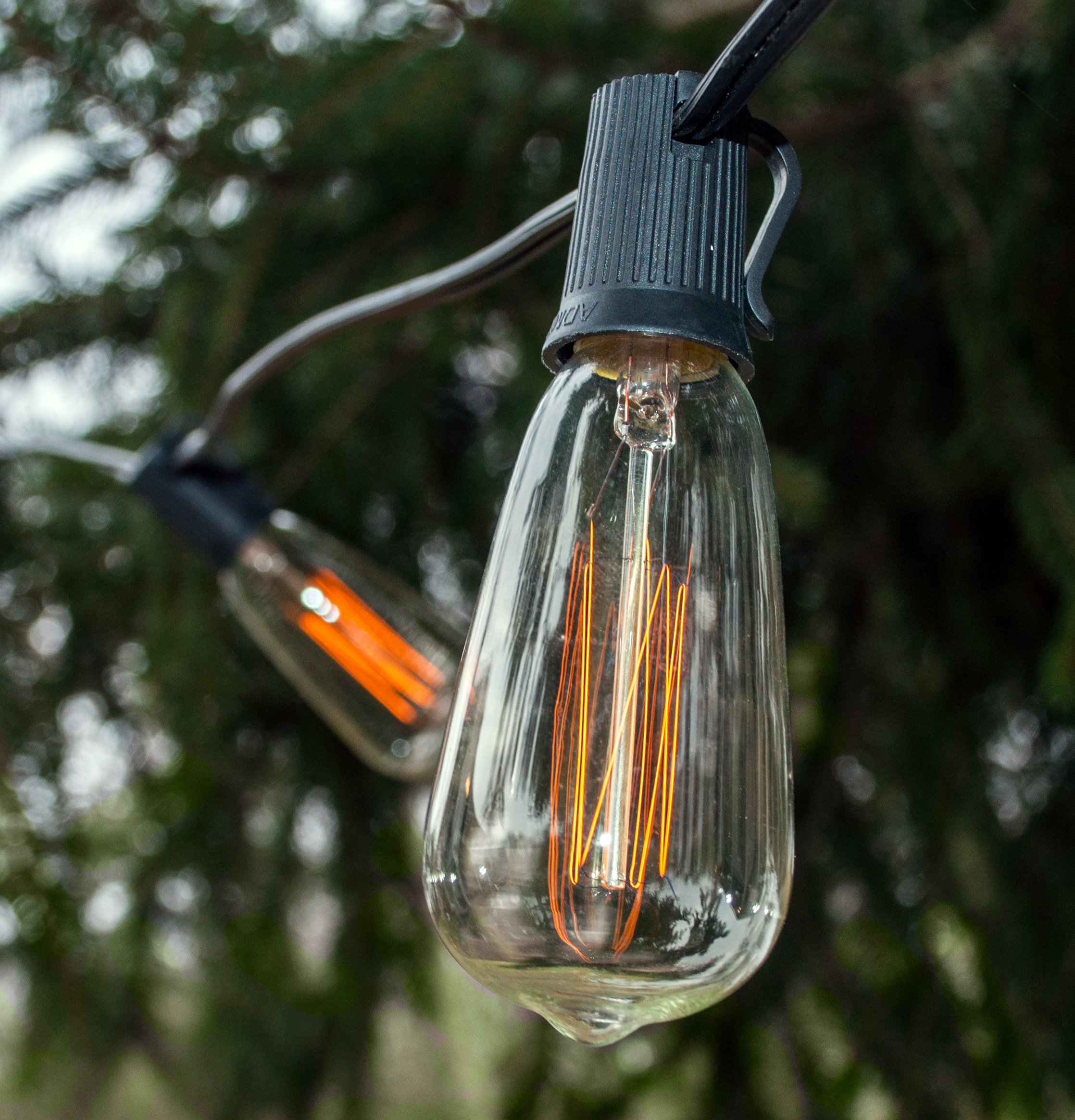 Hometown Evolution, Inc. Edison String Lights 25' Outdoor 25 - Bulb ...