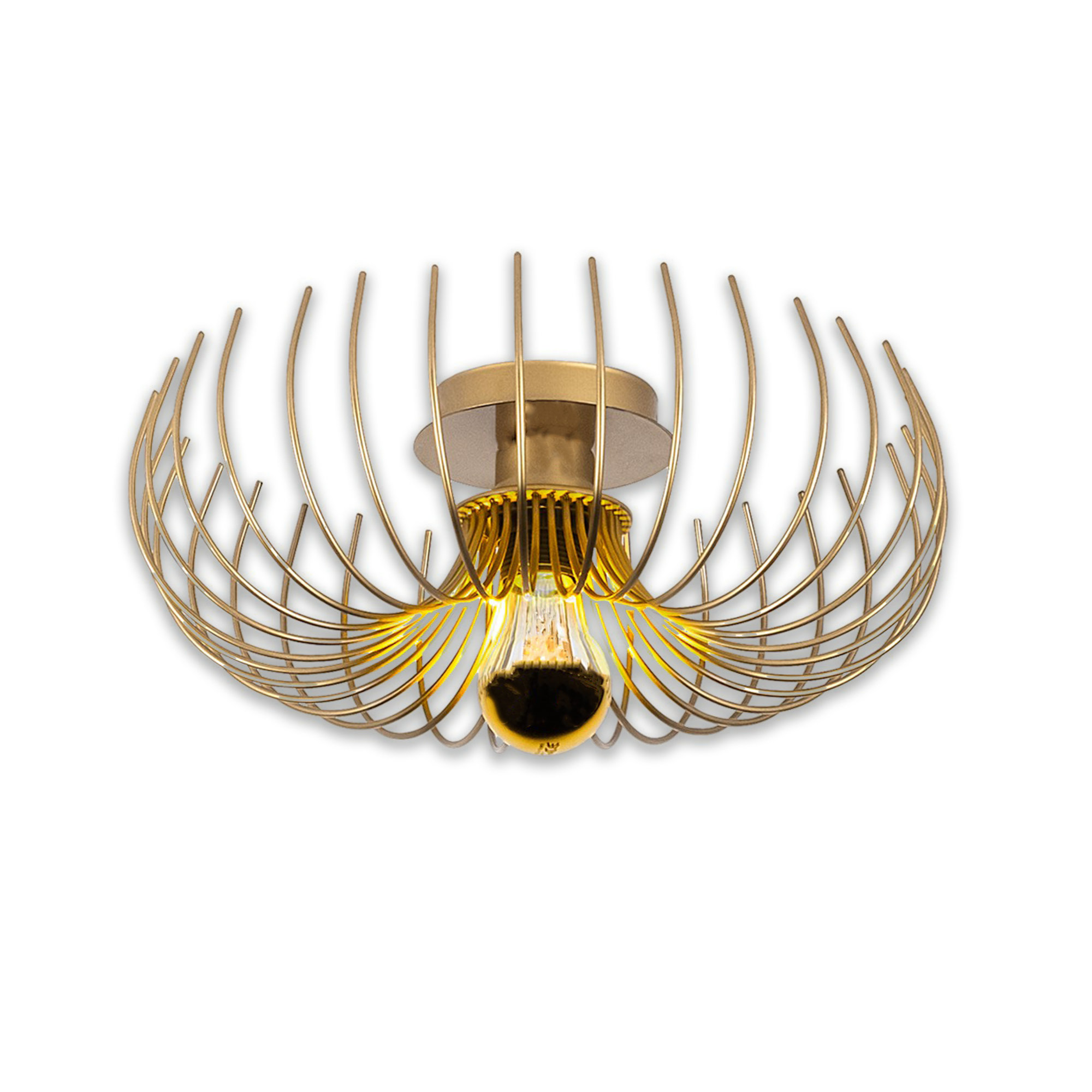 Everly Quinn Metal Body Cage Unique Flush Mount | Wayfair