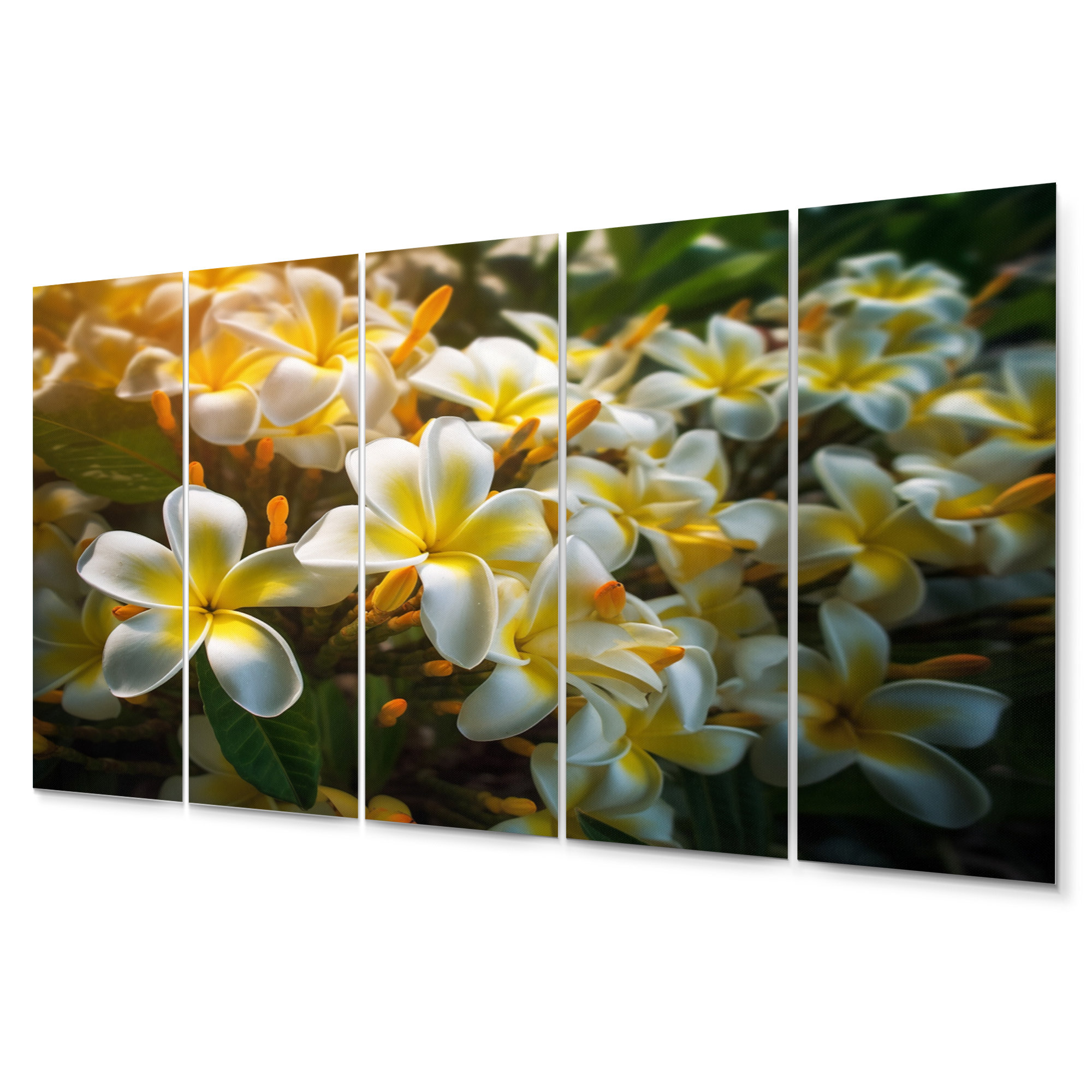 Design Art Yellow White Exotic Plumeria Blooms I - Plumeria Metal Wall ...