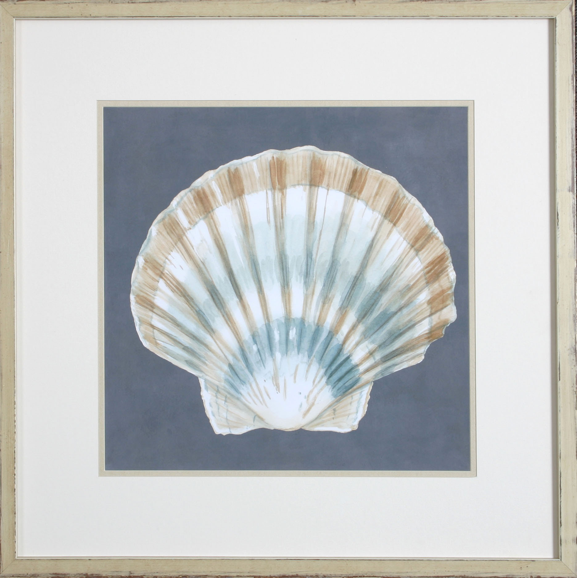 Shadow Catchers Shell on Slate III by Meagher - Picture Frame Drawing ...