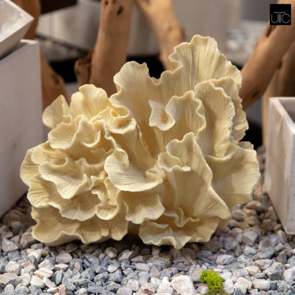 Beachcrest Home™ Resin Coral Cream | Wayfair