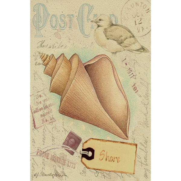 Highland Dunes Postcard Shells III | Wayfair.co.uk